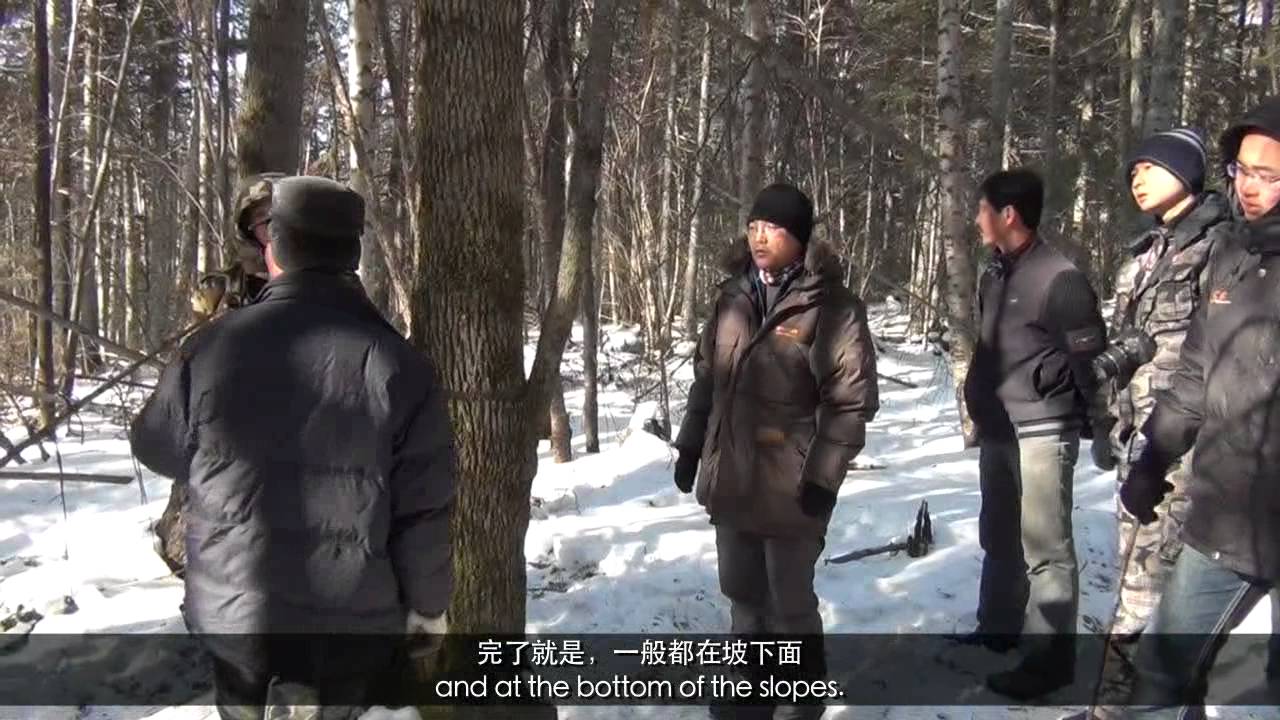 WWF Zero Poaching Campaign - YouTube