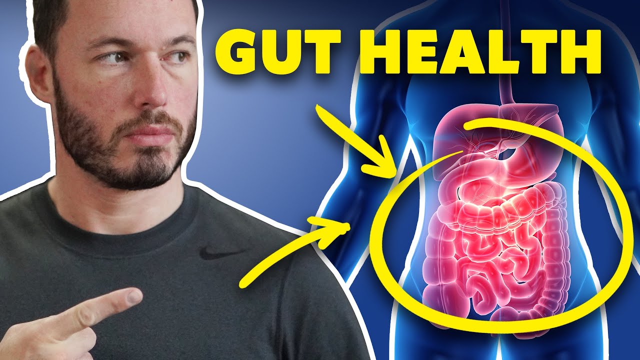 Why Your Gut Health Is SO Important - An Intro to Common Issues and ...