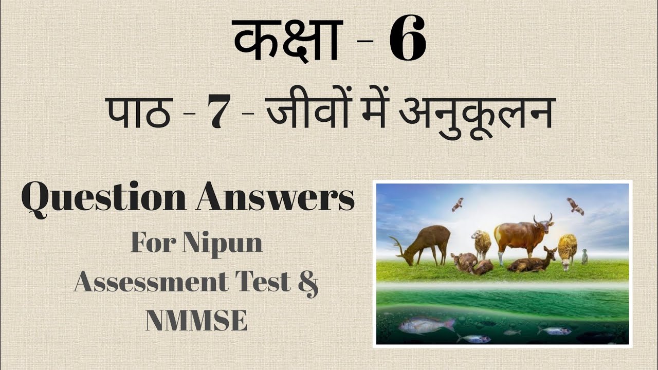 Question Answers Of Chapter 7 | Class - 6 | Science - YouTube