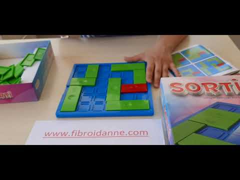 Sorti Akıl Ve Zeka Oyunu Nasıl Oynanır?