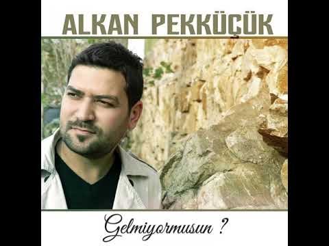 ALKAN PEKKÜÇÜK - GELMİYOR MUSUN