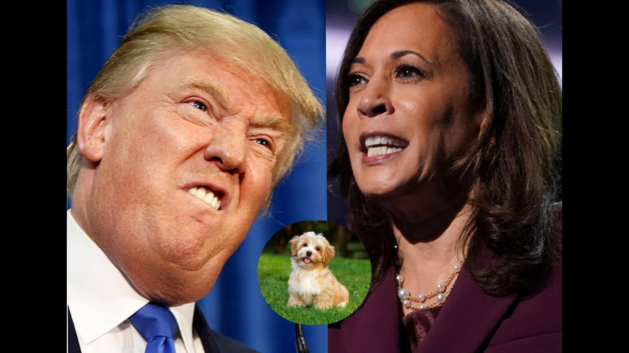 2024 Election Trump vs. Harris Debate: 6 KEY Moments - YouTube