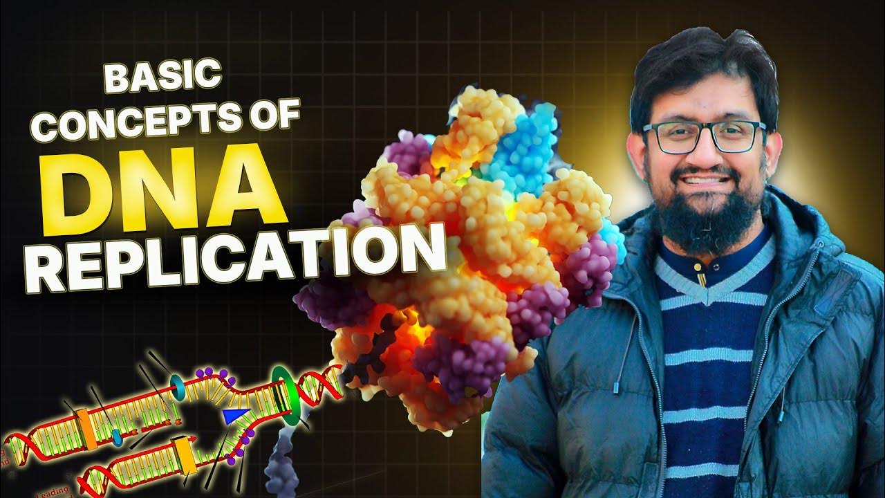 Basic Concepts of DNA Replication | DNA Replication 01 - YouTube