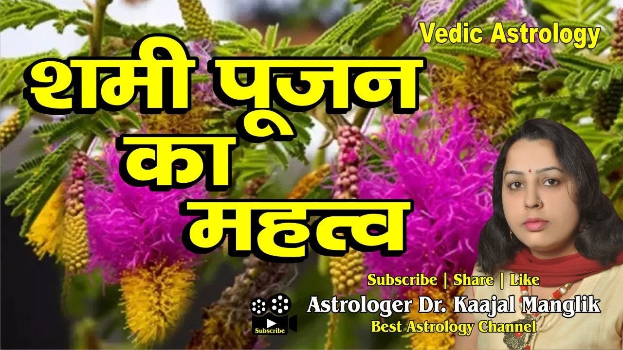जानें शमी पूजन का महत्व | shami ke ped ki puja kaise karen | shami ka ...