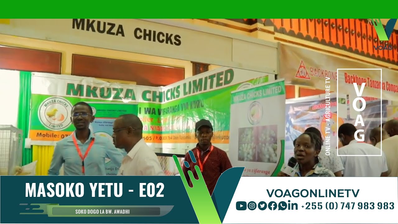 MKUZA CHICKS AT POULTRY SHOW - 2022 - YouTube