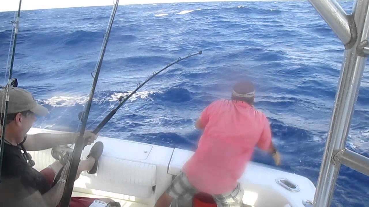 Blue Marlin Catch St. John, US Virgin Islands - YouTube