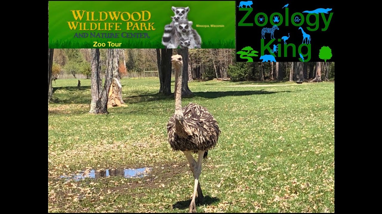 Wildwood Wildlife Park Zoo Tour - YouTube