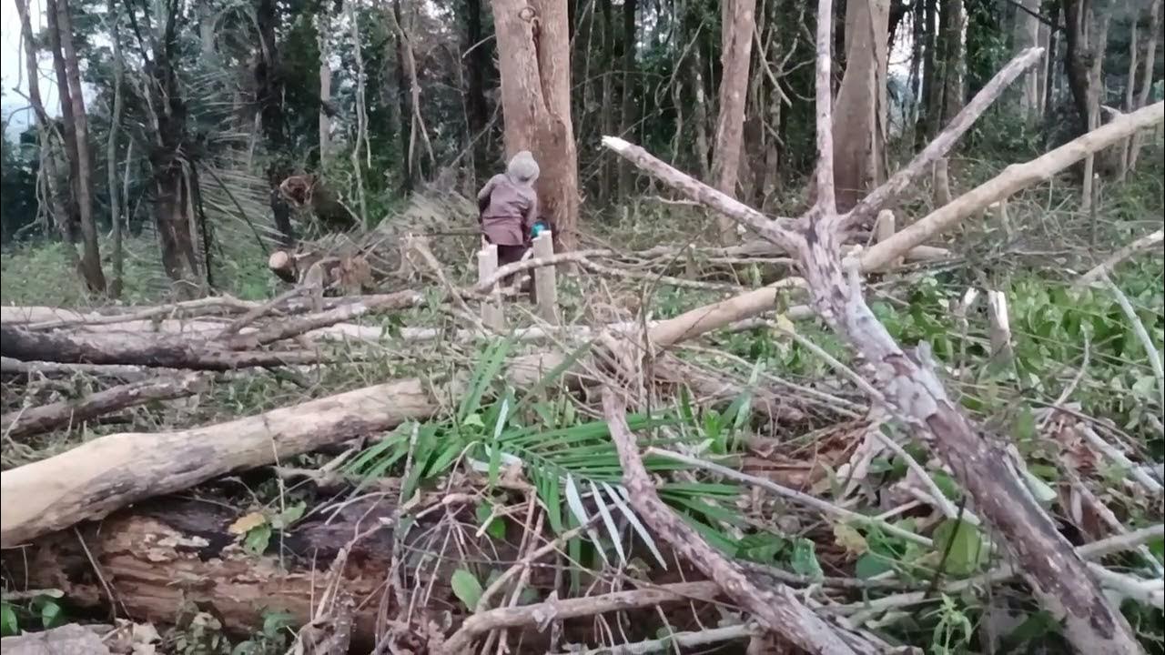 luaj teb qos ntoo nawb - YouTube