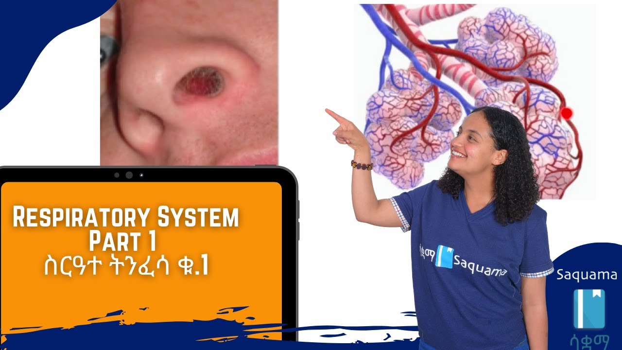 Grade 8 General Science Unit 4፡ Respiratory System 1 | ስርዓተ ትንፈሳ ቁ. 1 ...