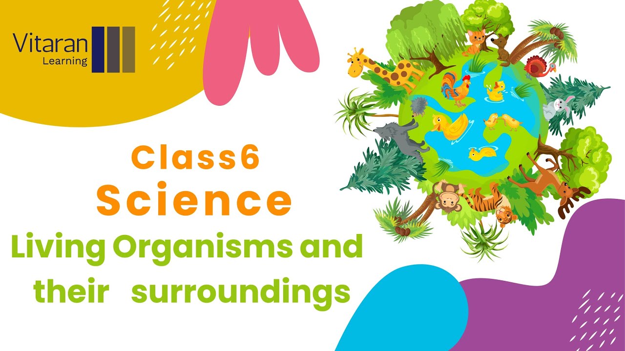Class 6. Science Living Organisms and their surroundings - YouTube