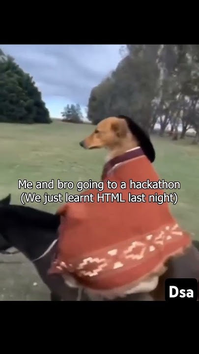 Webdev Webdevelopment Programmingmemes Codingmeme Coderlife Coding Webdeveloper Youtube