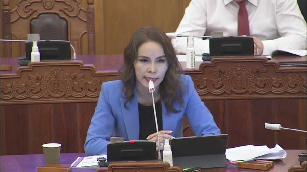 Ц Мөнхцэцэг Эдийн засгийг төрөлжүүлэхэд гадаадын хөрөнгө оруулалт