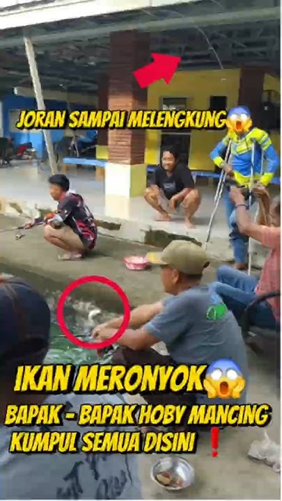 Bapak- Bapak berebut Ikan 😱 Mancing ikan mas sambil Ngabuburit 🎣 #mancing - YouTube