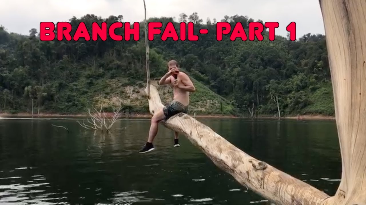 Tree Branch Fail - Part 1 - YouTube