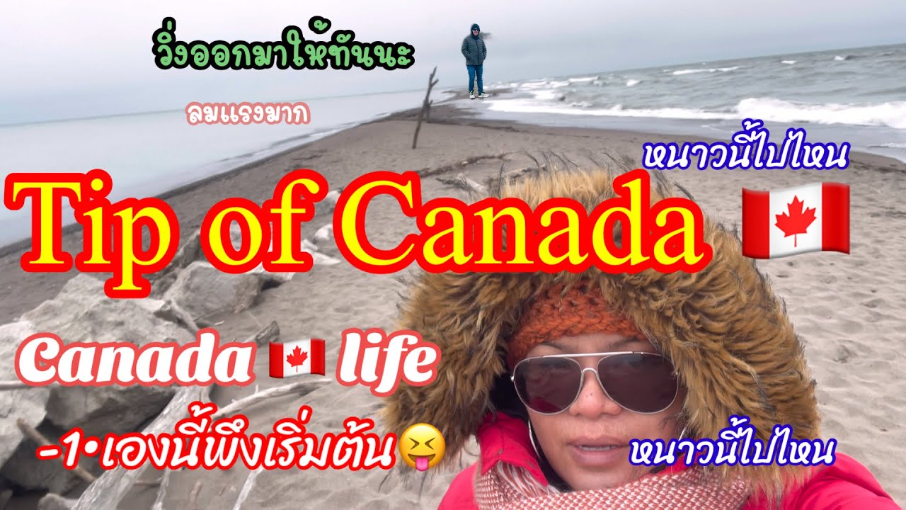 Ep.93 welcome to Tip of Canada 🇨🇦#คนไทยในต่างแดน #tip#point#pelee#tour ...