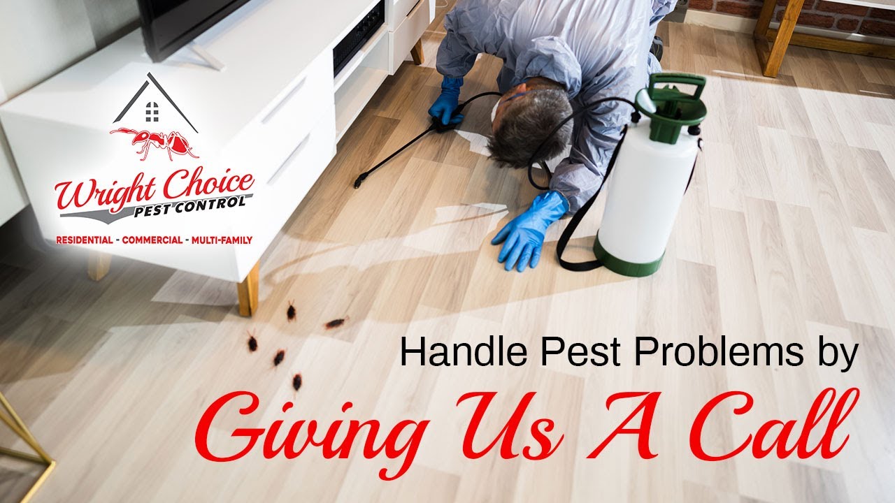 At Wright Choice Pest Control, LLC, We’ll Take Care of All Your Bug Problems - YouTube