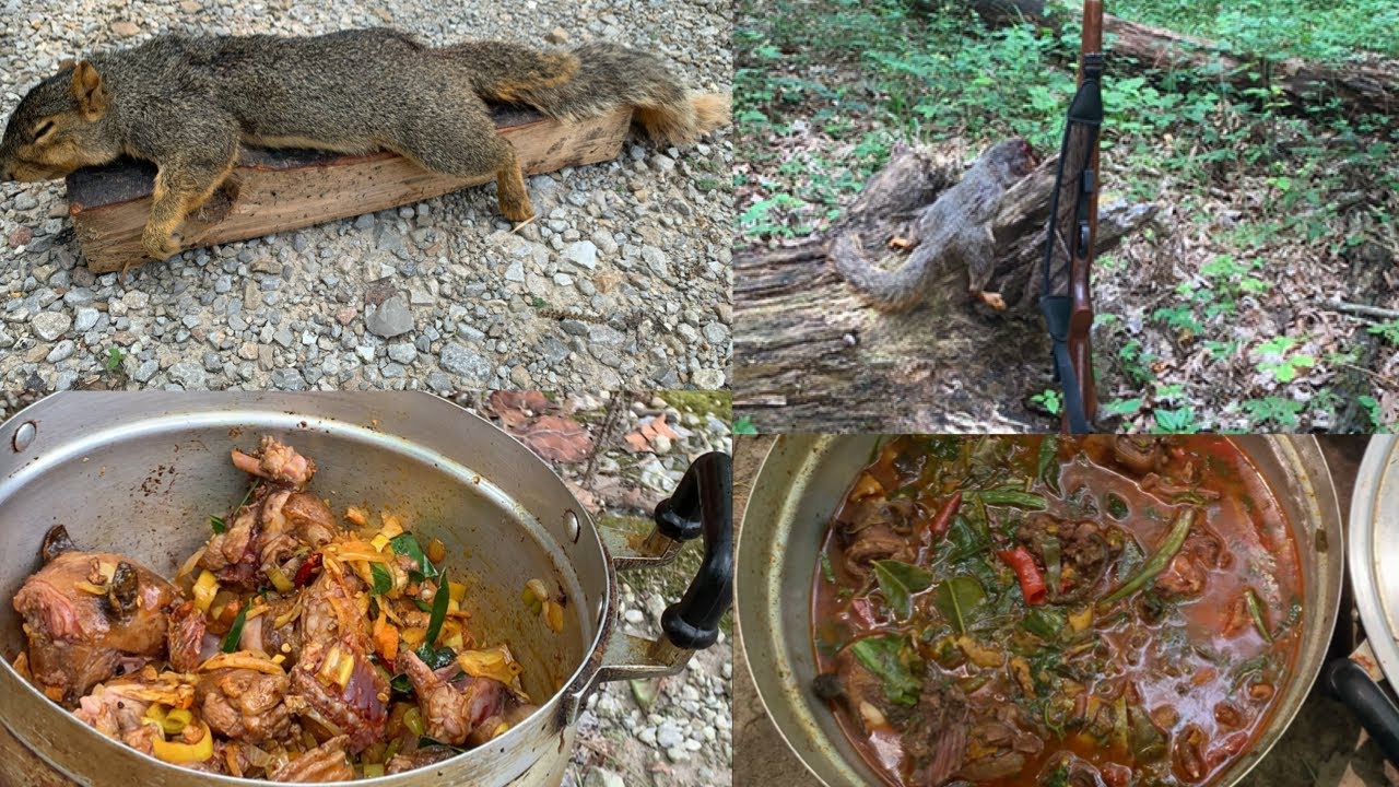Cooking Squirrel|Karen Food (Cooking Hunting Vlog) - YouTube