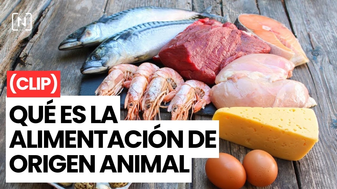 QUÉ ES LA ALIMENTACIÓN DE ORIGEN ANIMAL - Dr. Nutrillermo (VERTICAL ...