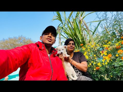 Tun Tun Masi Ke Live Mai Aye || Mandeep Vlog11 - YouTube