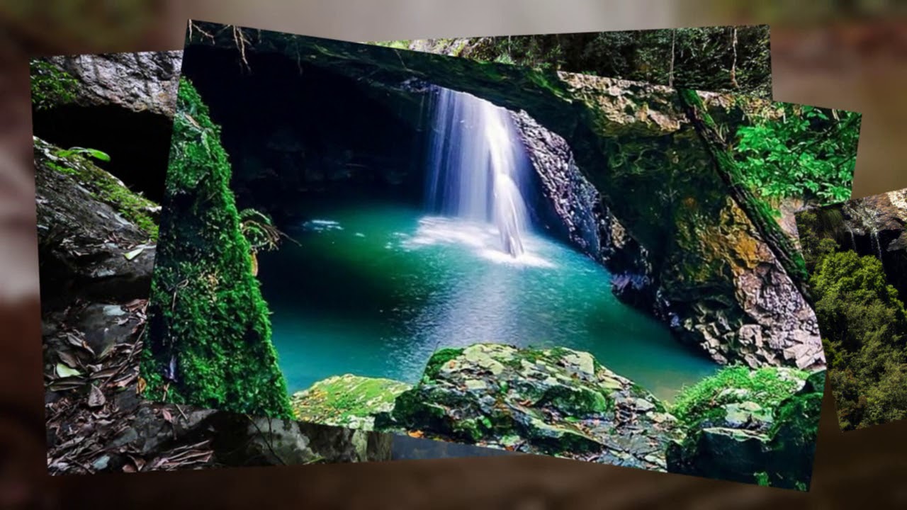 Springbrook national Park australie - YouTube