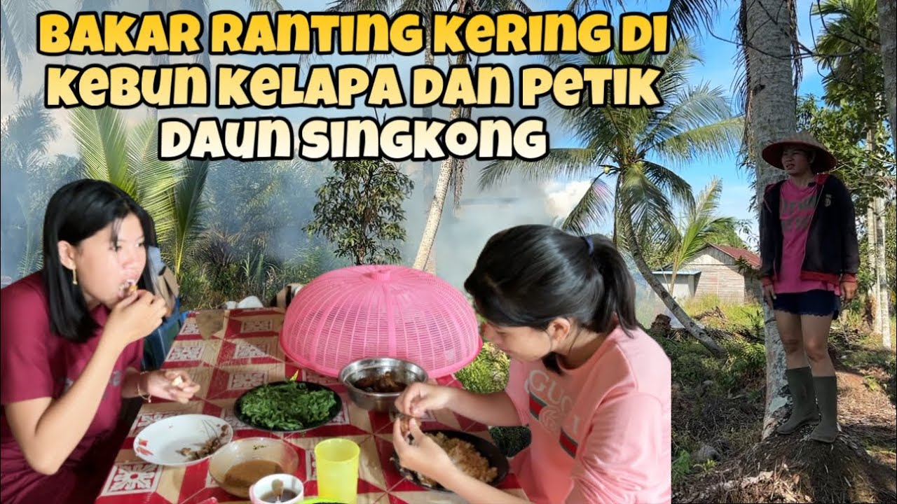 BAKAR RANTING RANTING KERING YANG KAMI KUMPULKAN DAN AMBIL DAUN ...