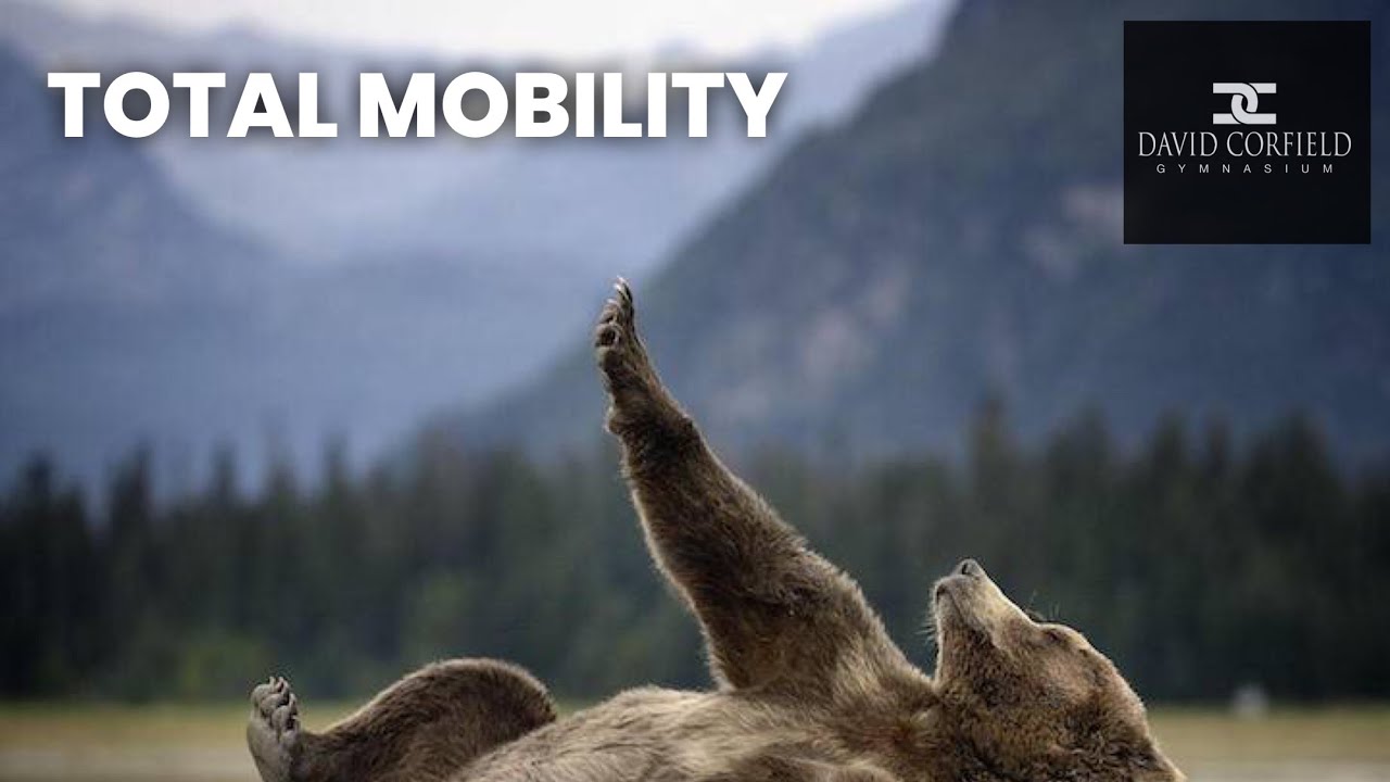 TOTAL MOBILITY DAY 3 - YouTube