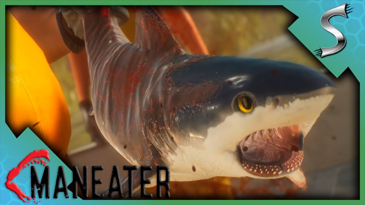 BIRTH OF A KILLER... - Maneater [Gameplay E1] - YouTube