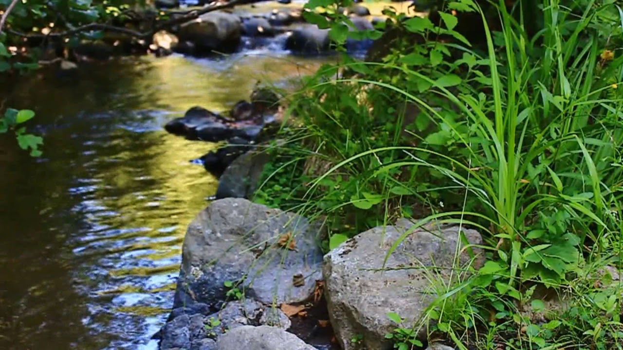Relaxing River sounds, gentle river soothing water sounds - YouTube