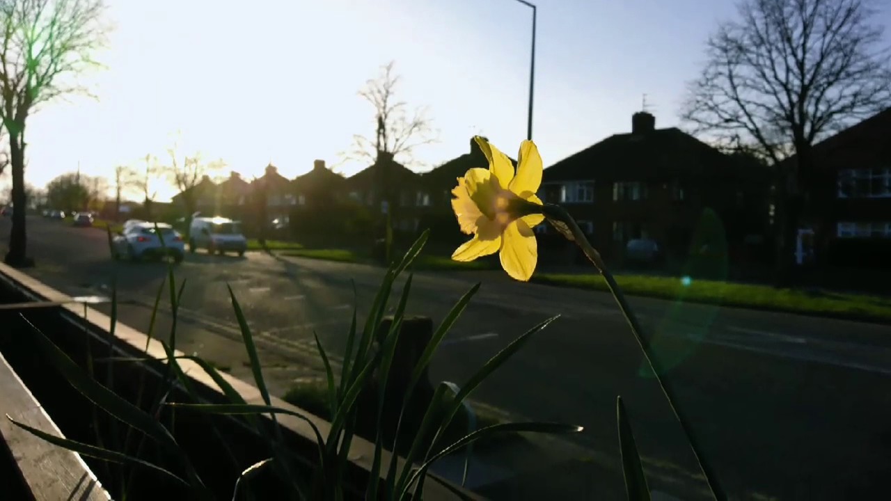 Highlights From April - YouTube