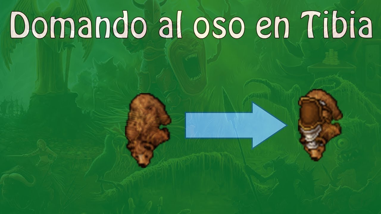 Domando al Oso con un Pequeño Fail | Tibia - YouTube