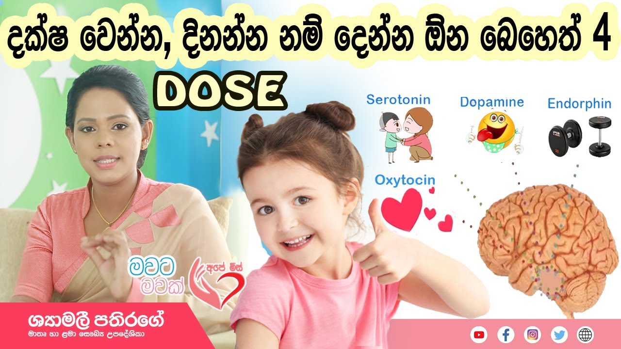 Ape Miss - දරුවාගේ මොළය හොඳින් වැඩ කරන්න අවශ්‍යම හෝමෝන 4 (DOSE ...