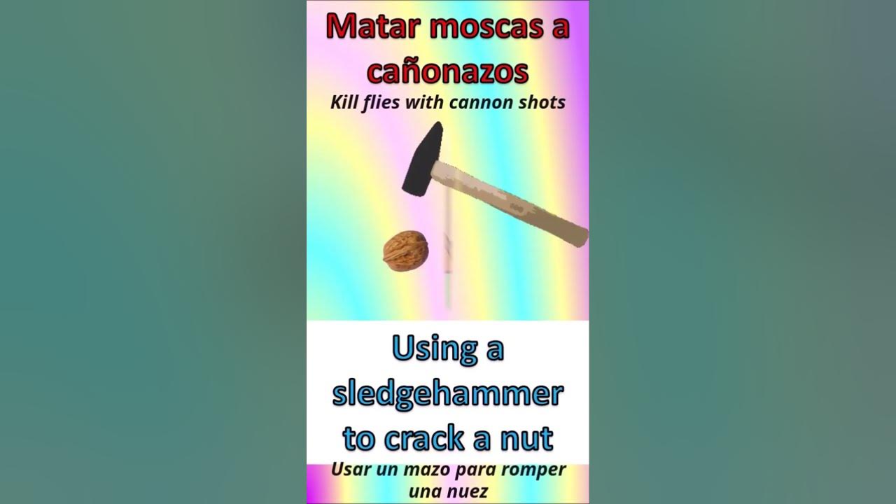 MODISMOS SOBRE LAS MOSCAS / SPANISH IDIOMS ABOUT FLIES AND THEIR ...