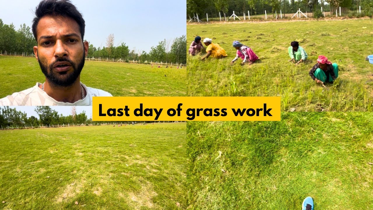 Cricket Ground Grass Work Complete 🌿 Unwanted Grass Removed - YouTube