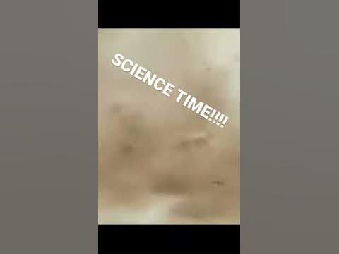 It’s Science Time - YouTube