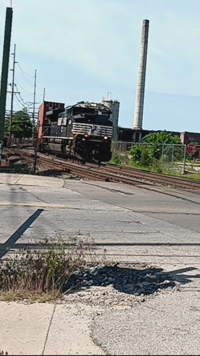 NS 1169 Leads Intermodal Stack Train EARDESTROYER K5LLA - YouTube