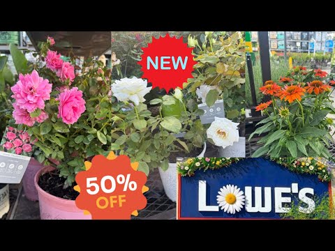 LOWES  BEST NEW PLANTS-ARRIVALS FOR SUMMER| HOW TO MAKE YOUR GARDEN BEAUTIFUL? 50% OFF PLANTS $ MORE