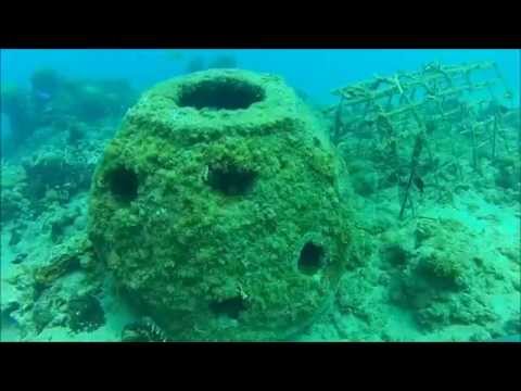 Diving in 3 Rocks - Dominican Republic - YouTube