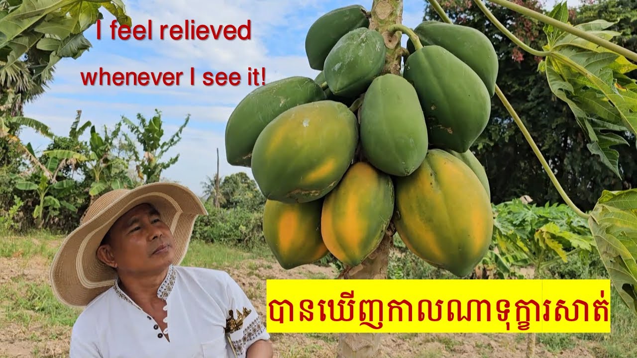 បានឃើញកាលណាទុក្ខារសាត់ ... I feel relieved whenever I see it - YouTube