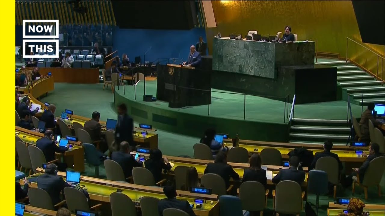 UN General Assembly Votes for Gaza Cease-Fire - YouTube
