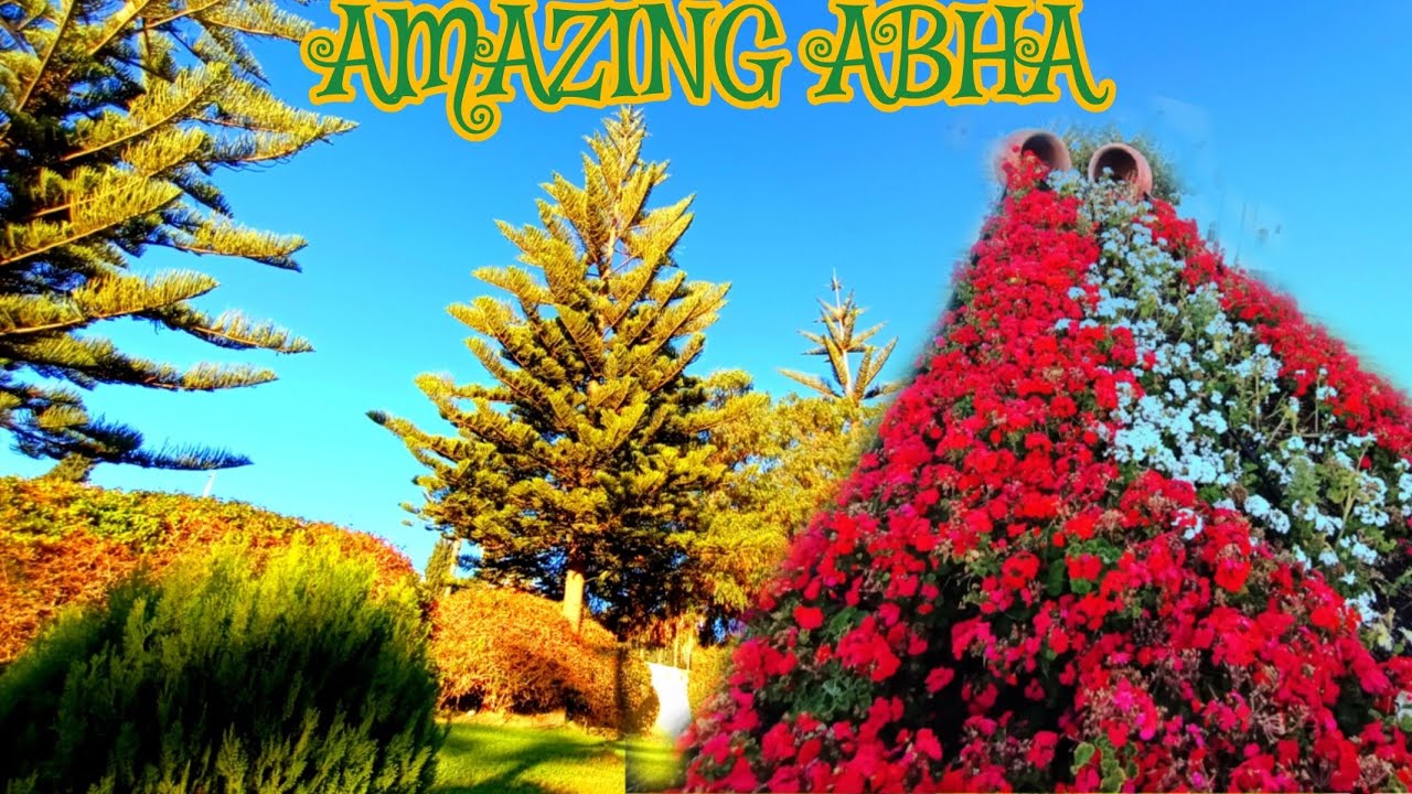 amazing Abha in saudi arabia | abha beautiful places | abha ksa | VLOG ...