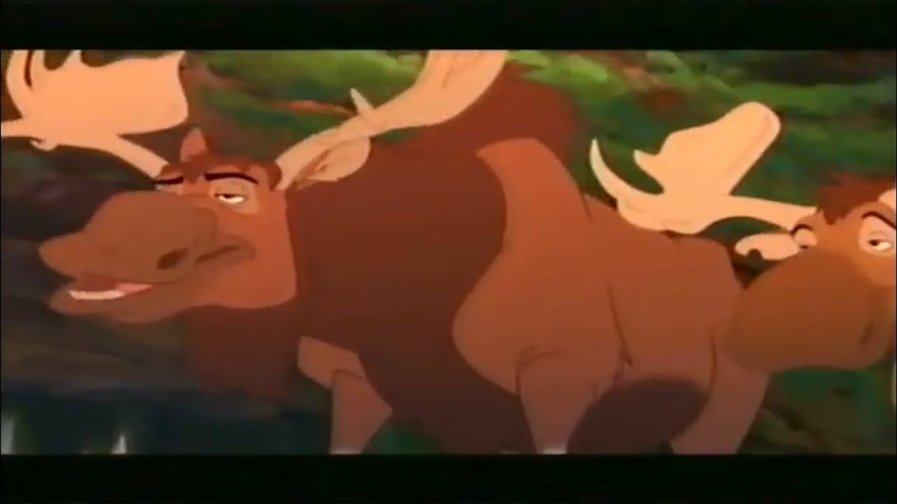 Brother Bear: Ruke & Tuke (2003) (23) - YouTube
