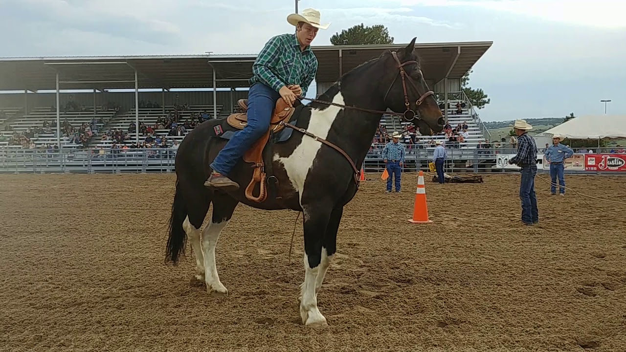 Cowhide Race 2018 - YouTube