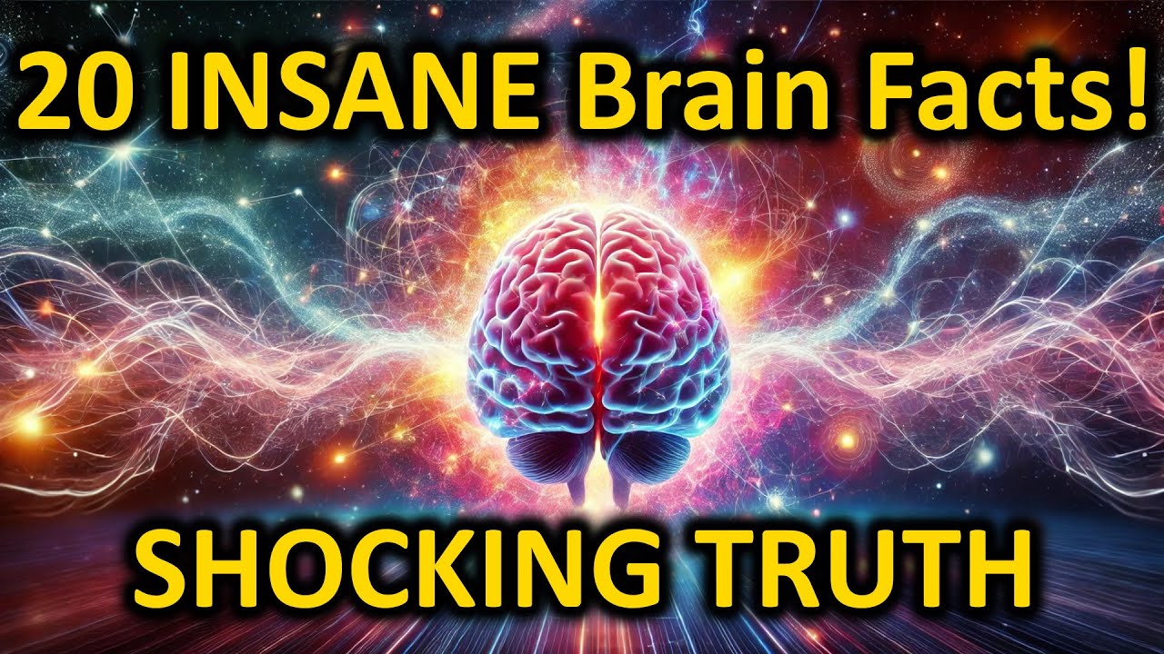 20 Mind-Blowing Facts About the Human Brain You Won’t Believe ...