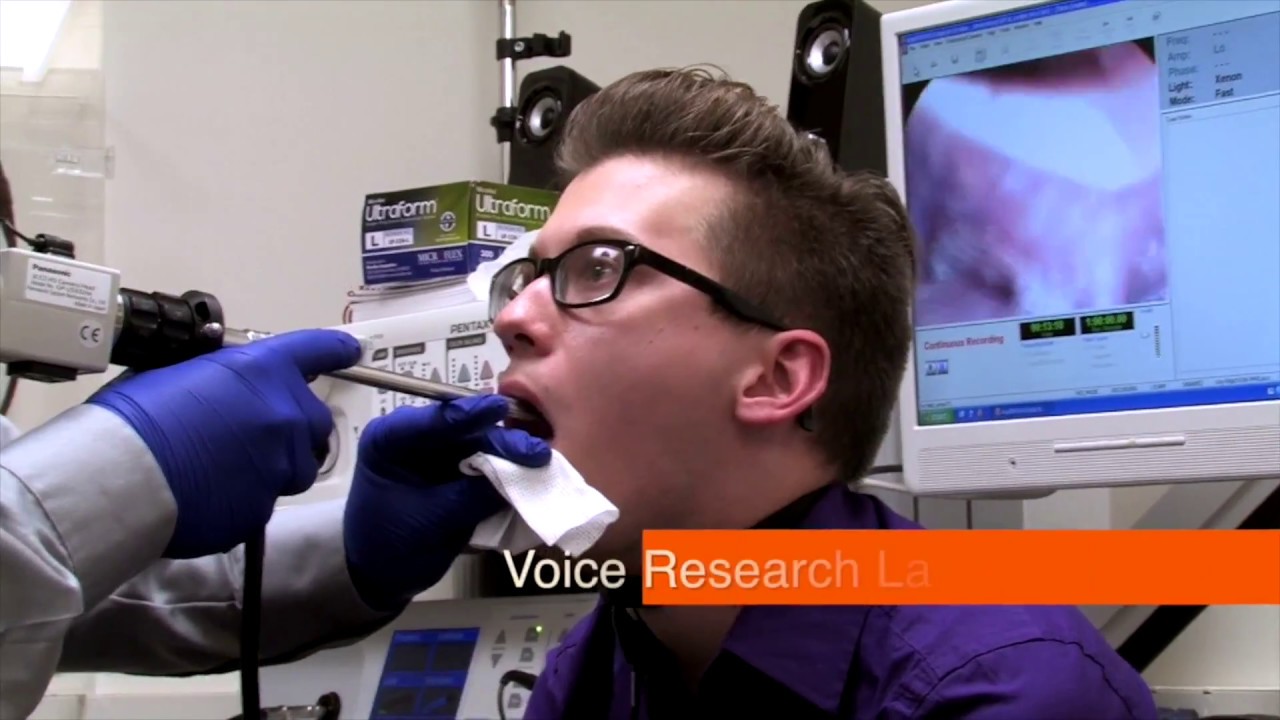 The Department of Speech and Hearing Science at the University of ...