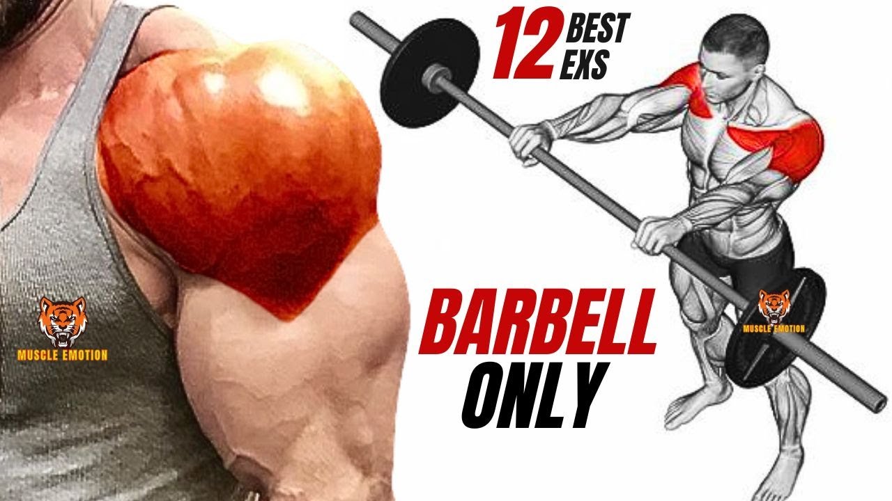 12 BEST SHOULDER WORKOUT WITH BARBELL ONLY AT HOME OR AT GYM ...