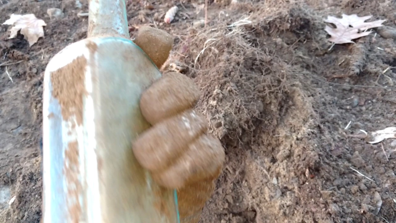 Bottle hunting in a late 1800s glass dump! - YouTube