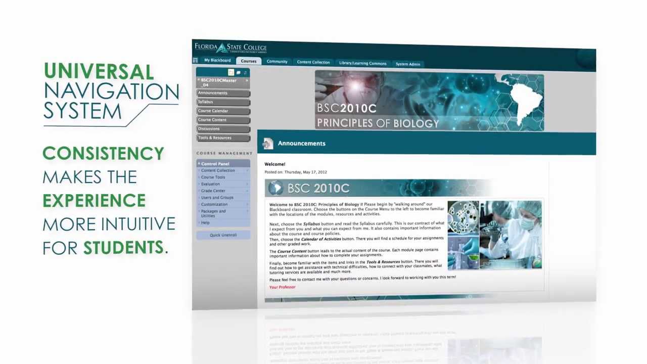CEL Short | CEL Course Design and Features - YouTube