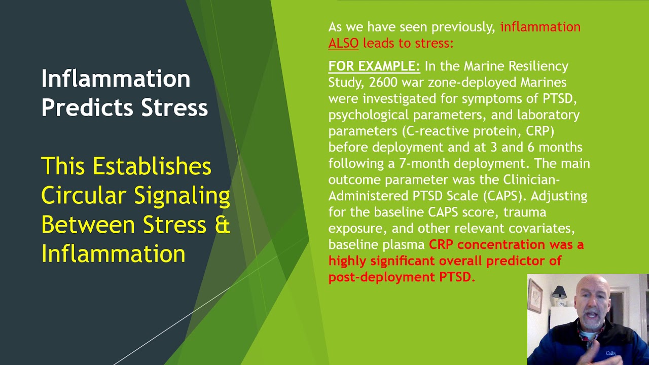 Stress PNI Lecture v6 - YouTube