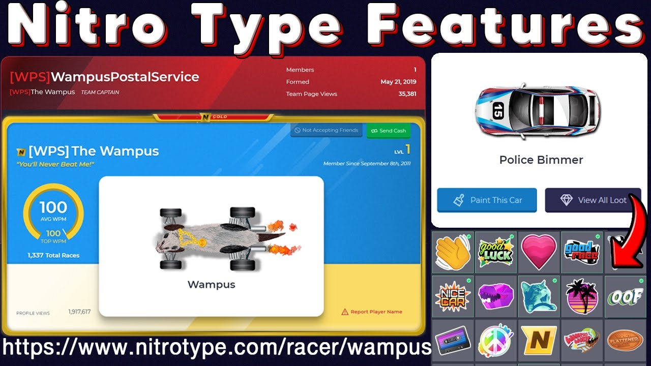 Hidden Features/Secrets in Nitro Type - YouTube