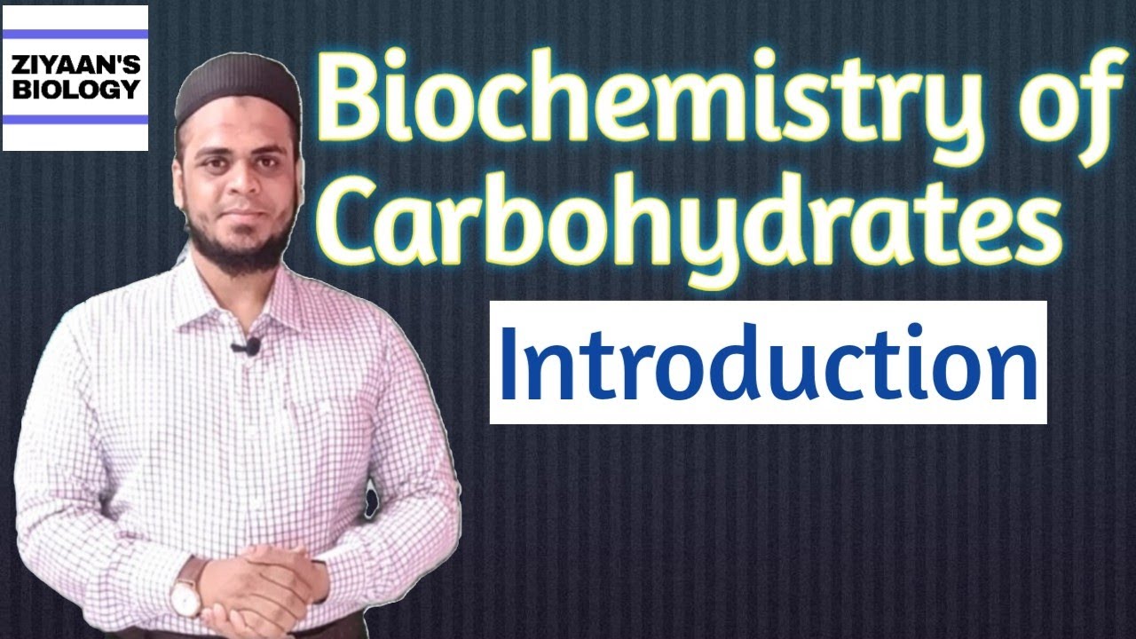 Biochemistry of Carbohydrates | Part 1 | NEET | NCERT - YouTube